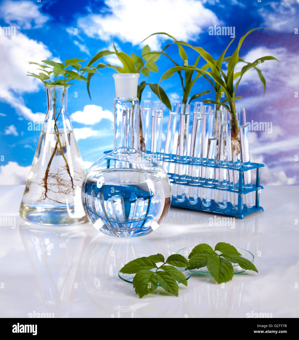 Floral science in laboratory Stock Photo - Alamy