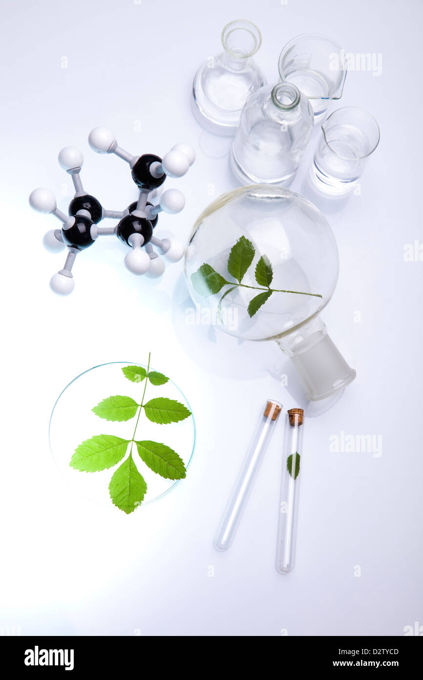 Ecology laboratory experiment in plants Stock Photo - Alamy