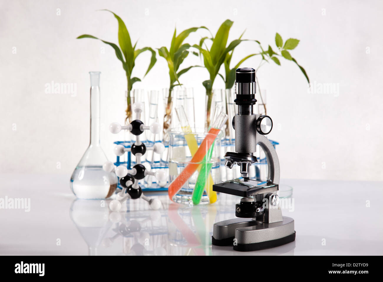 Floral science in laboratory Stock Photo - Alamy