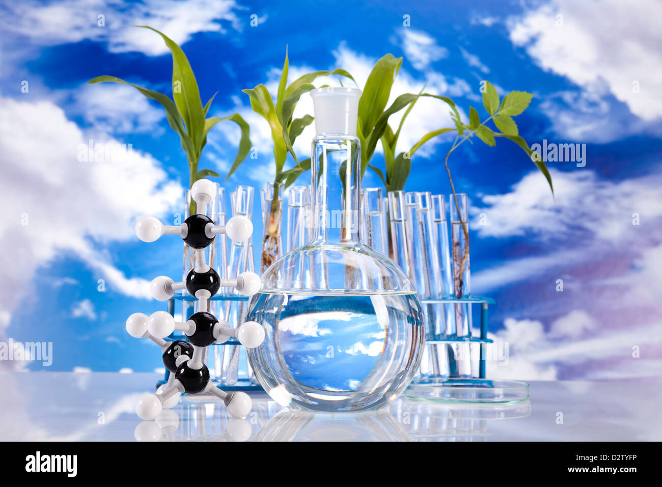 Ecology laboratory experiment in plants Stock Photo - Alamy