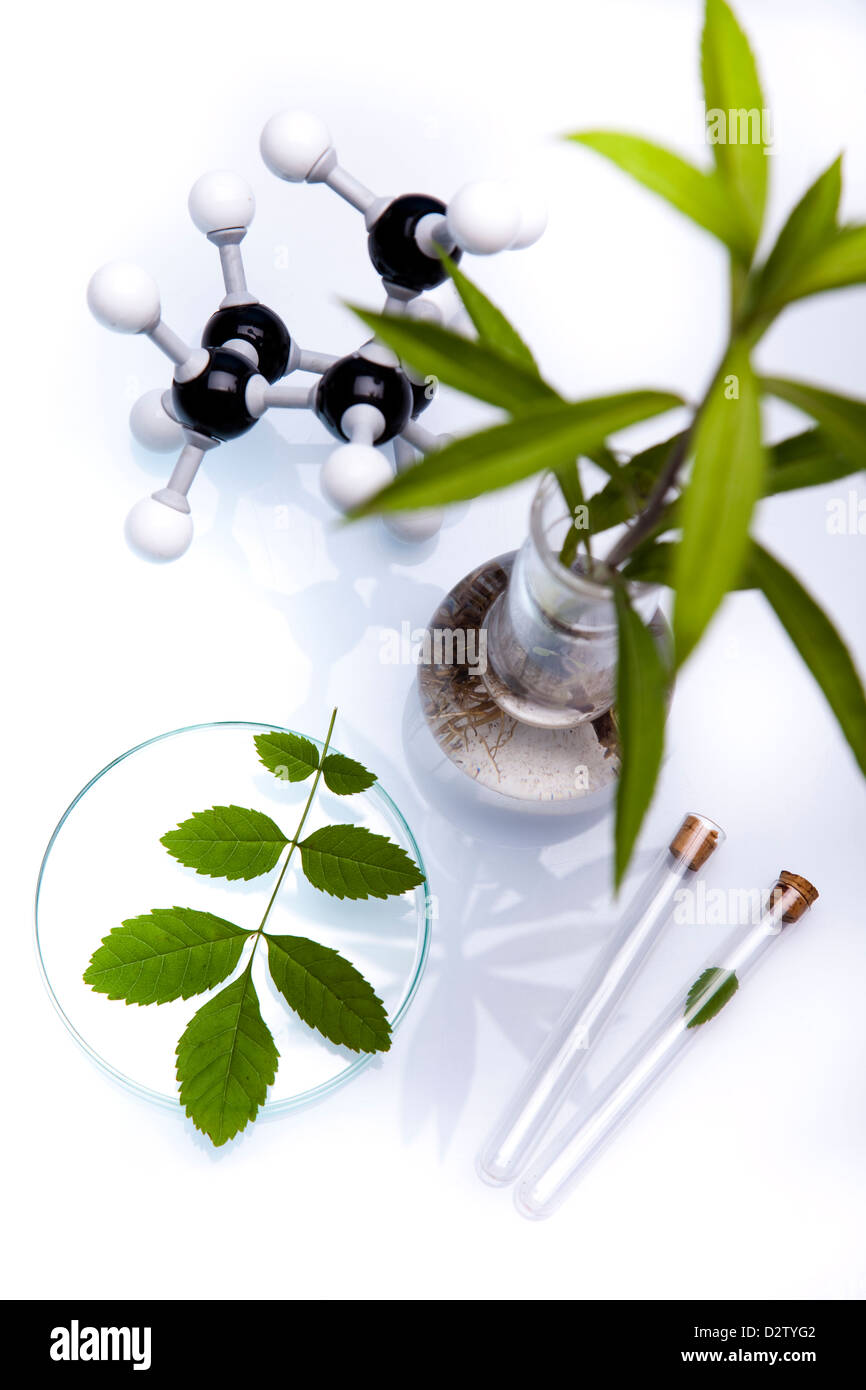 Ecology laboratory experiment in plants Stock Photo - Alamy