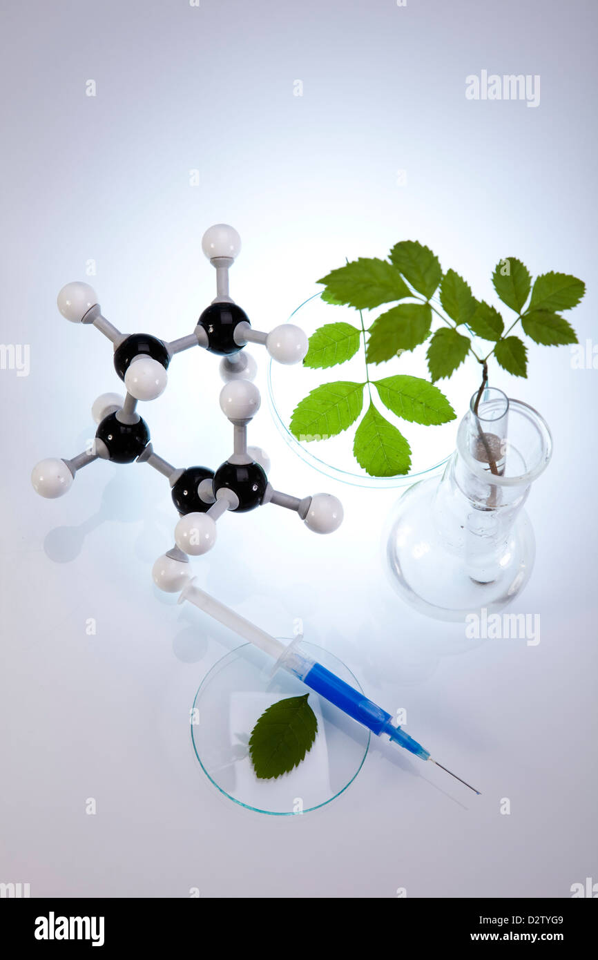 Ecology laboratory experiment in plants Stock Photo - Alamy