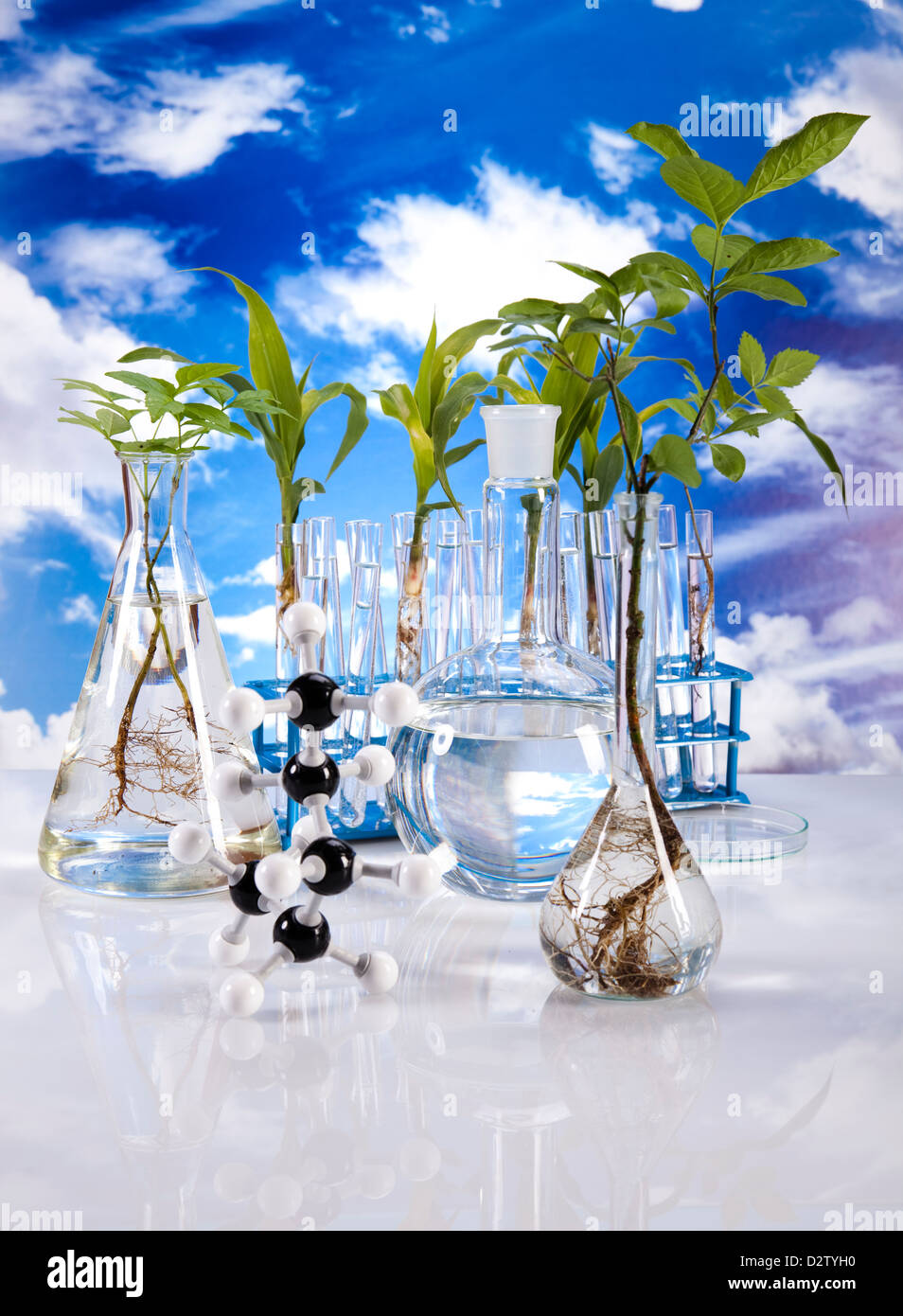 Ecology laboratory experiment in plants Stock Photo - Alamy