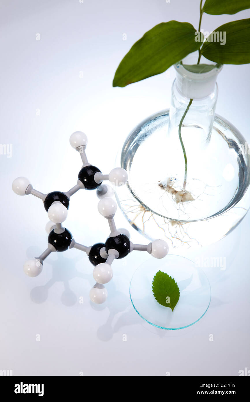 Floral science in blue laboratory Stock Photo - Alamy