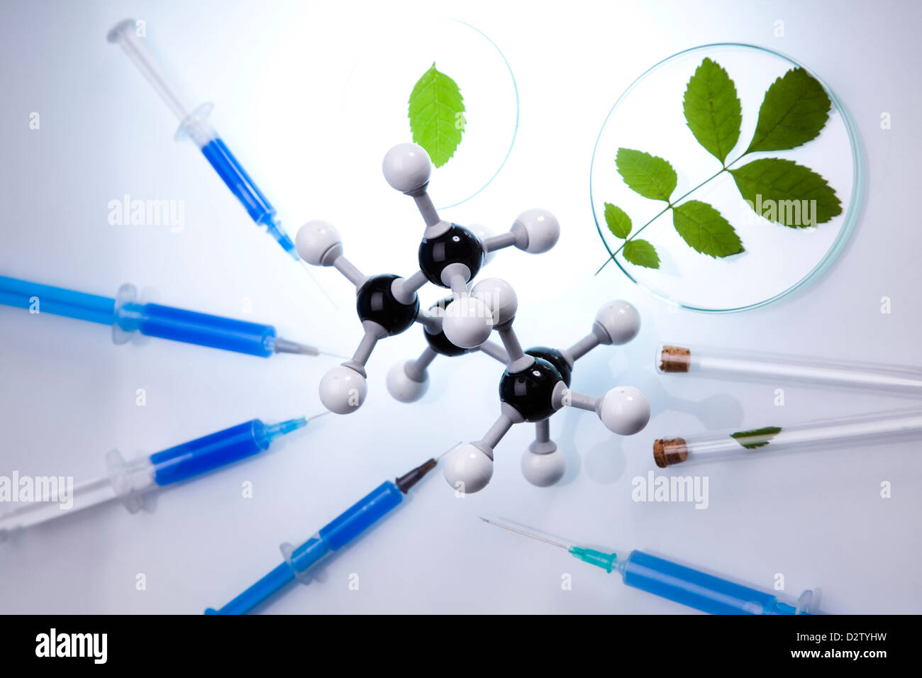 Floral science in blue laboratory Stock Photo - Alamy