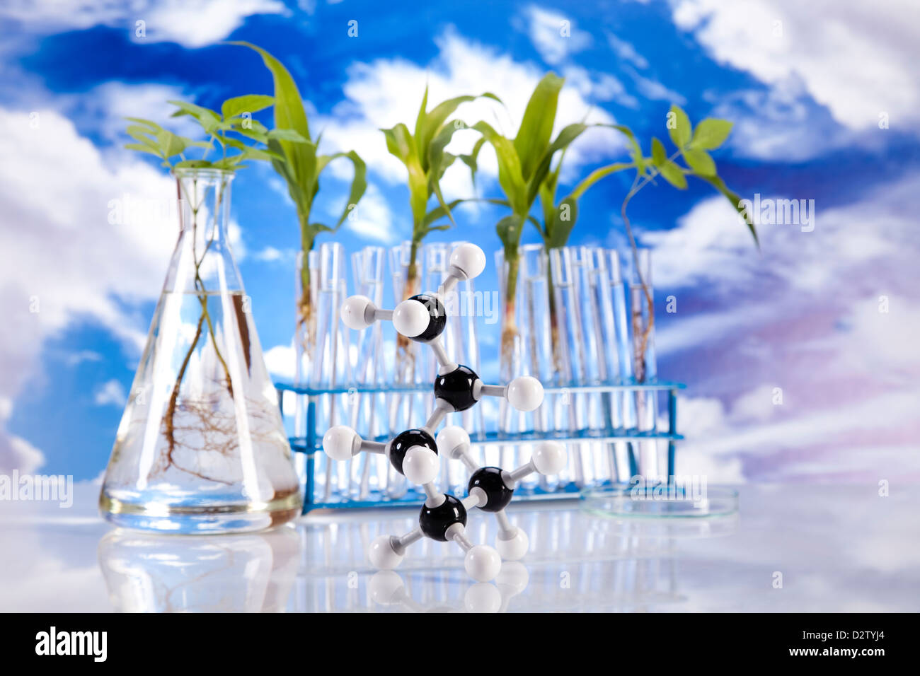 Floral science in laboratory Stock Photo - Alamy