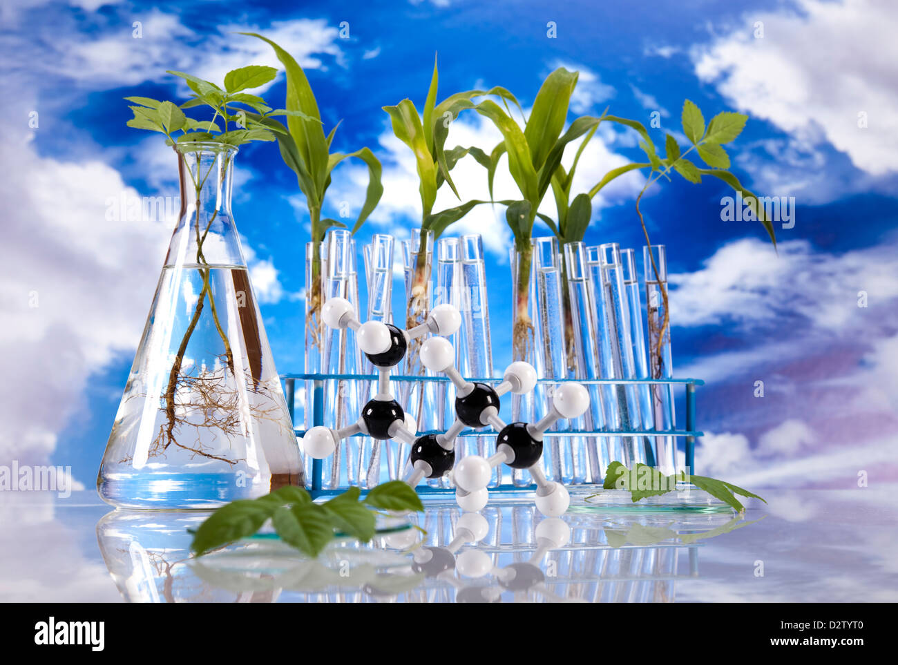 Ecology laboratory experiment in plants Stock Photo - Alamy