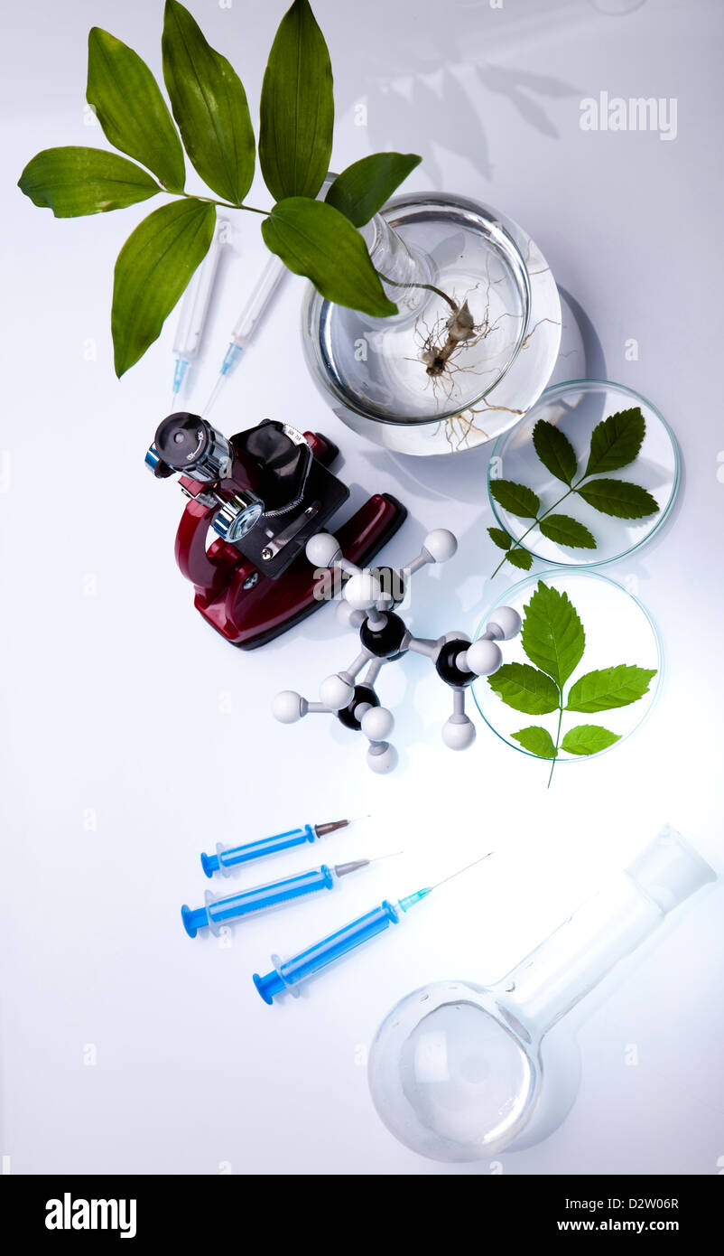 Floral science in blue laboratory Stock Photo - Alamy