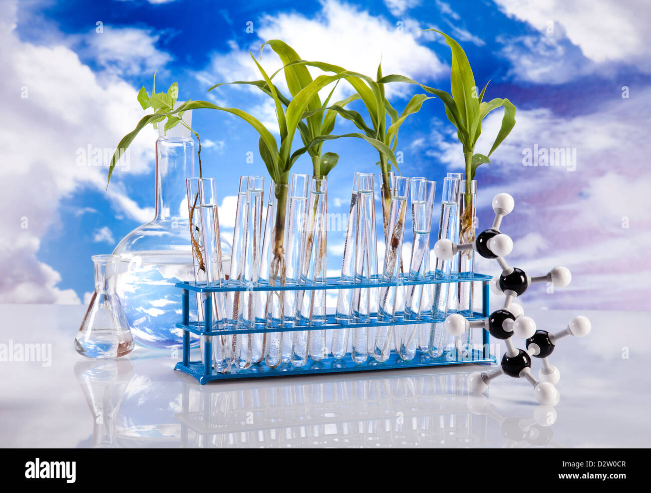 Ecology laboratory experiment in plants Stock Photo - Alamy