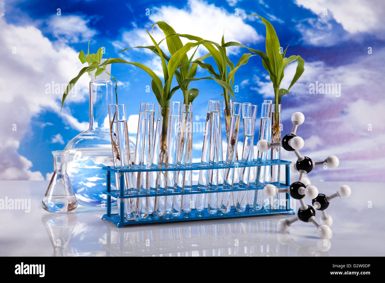 Ecology laboratory experiment in plants Stock Photo - Alamy
