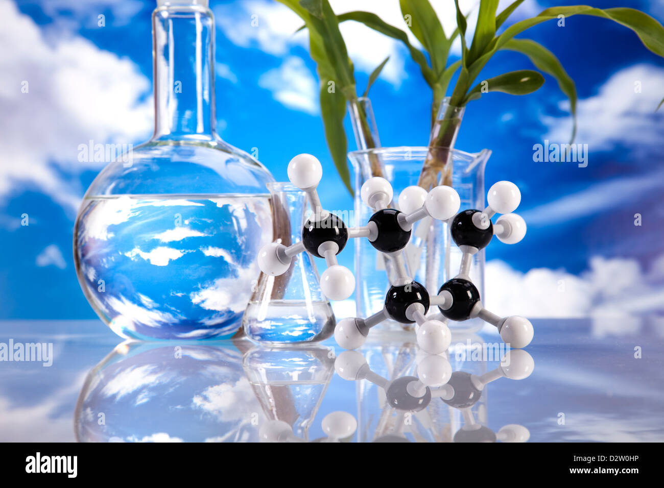 Ecology laboratory experiment in plants Stock Photo - Alamy