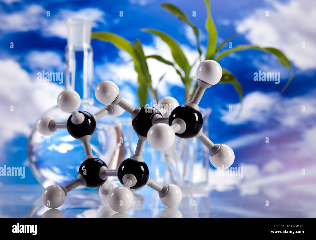 Ecology laboratory experiment in plants Stock Photo - Alamy
