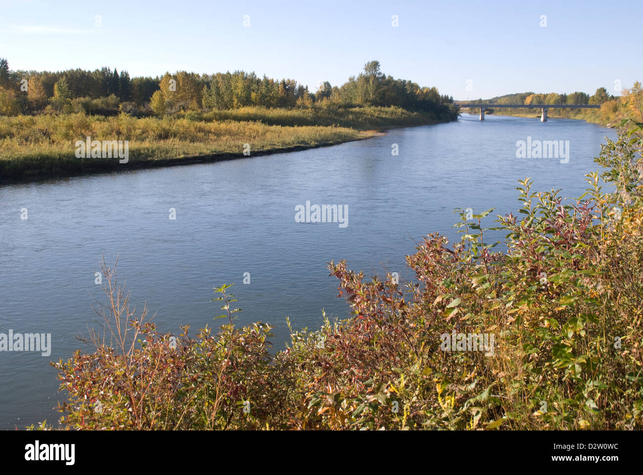 Canada red deer river alberta hi-res stock photography and images - Alamy