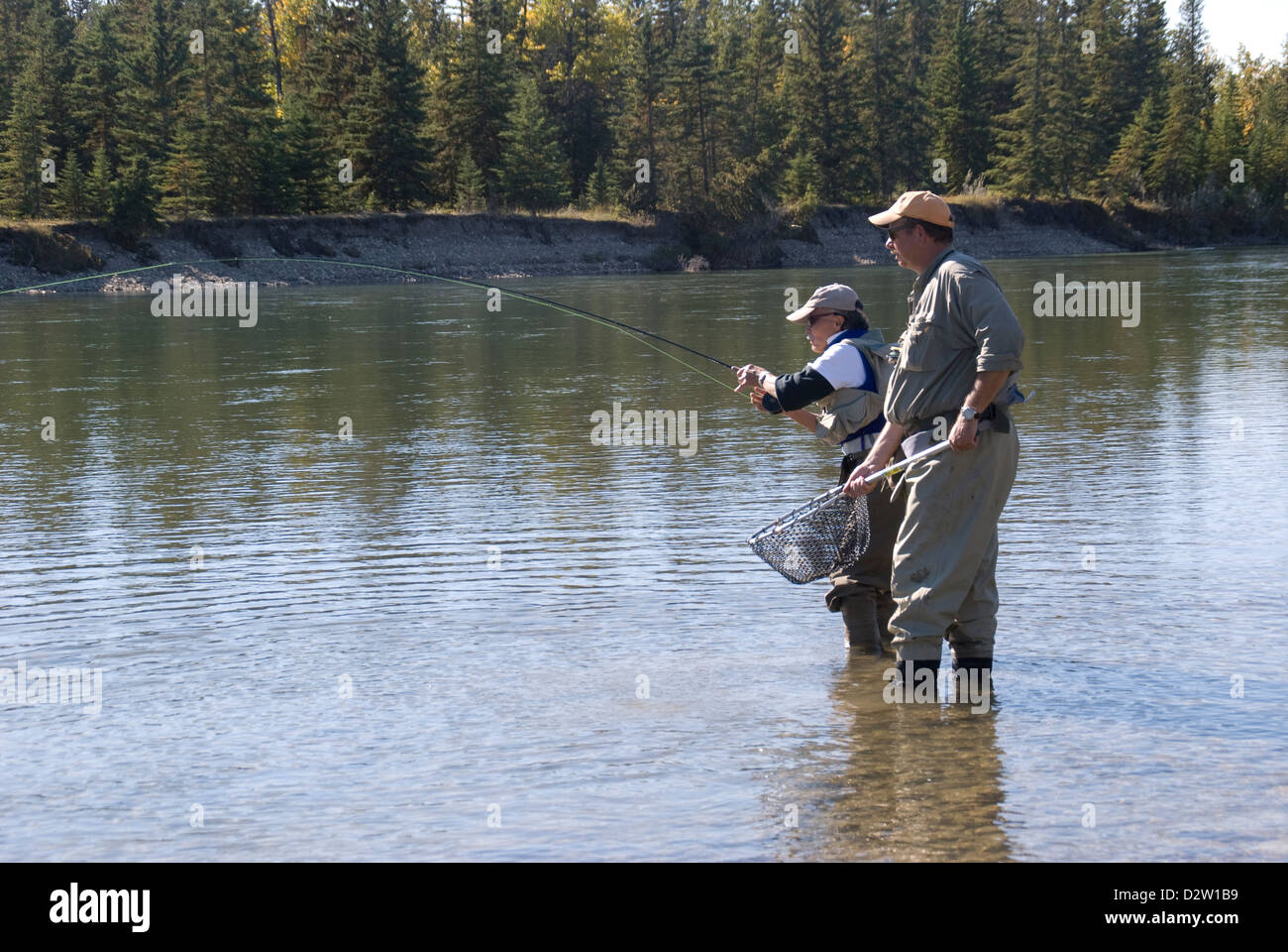Teru Yamagishi plays a Brown trout on the Red Deer River in central ...