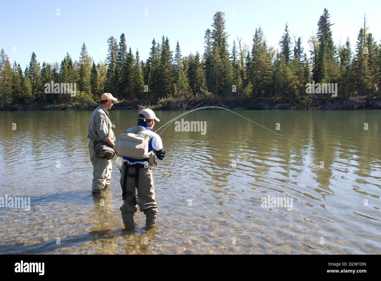 Teru Yamagishi plays a Brown trout on the Red Deer River in central ...