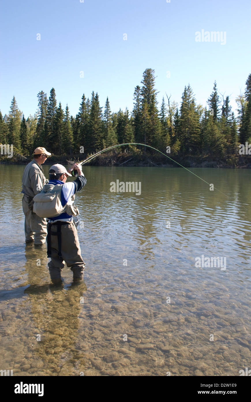 Teru Yamagishi plays a Brown trout on the Red Deer River in central ...