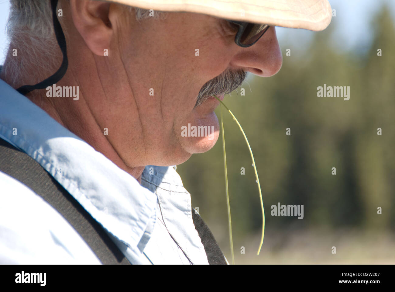 Fishing guide preparing to tie a leader to a fly line Stock Photo - Alamy