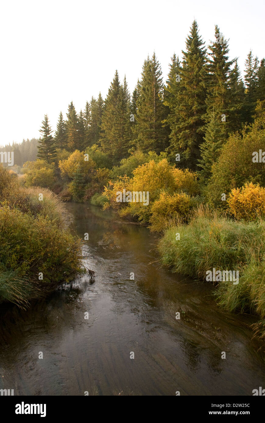 Trout stream hi-res stock photography and images - Alamy