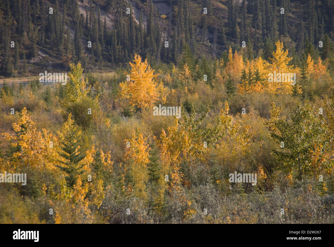 Saskatchewan in the fall hi-res stock photography and images - Alamy