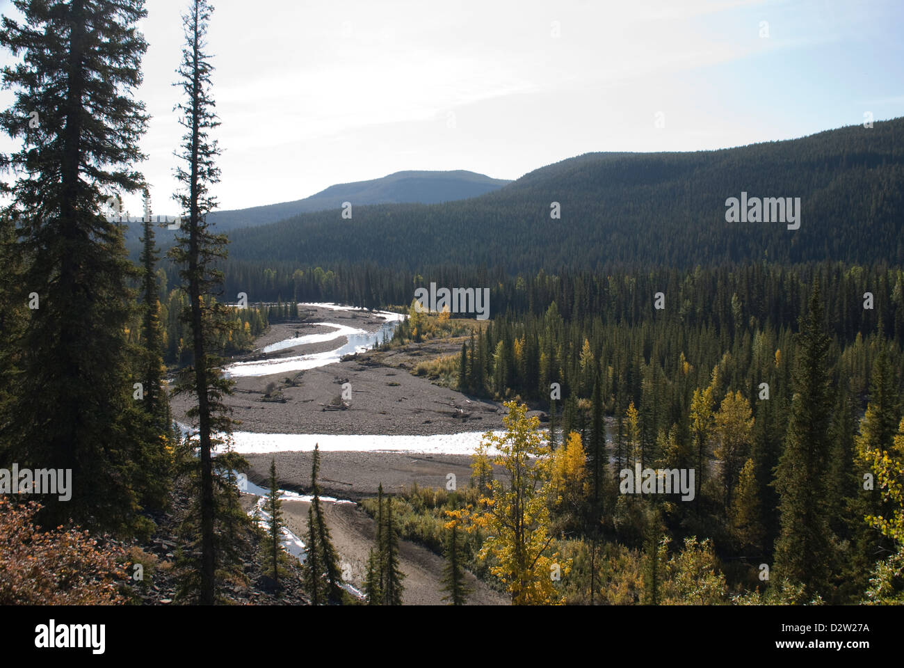 Northern ram river hi-res stock photography and images - Alamy