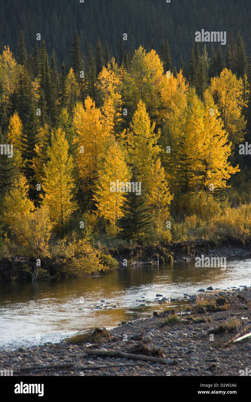 Central color hi-res stock photography and images - Alamy