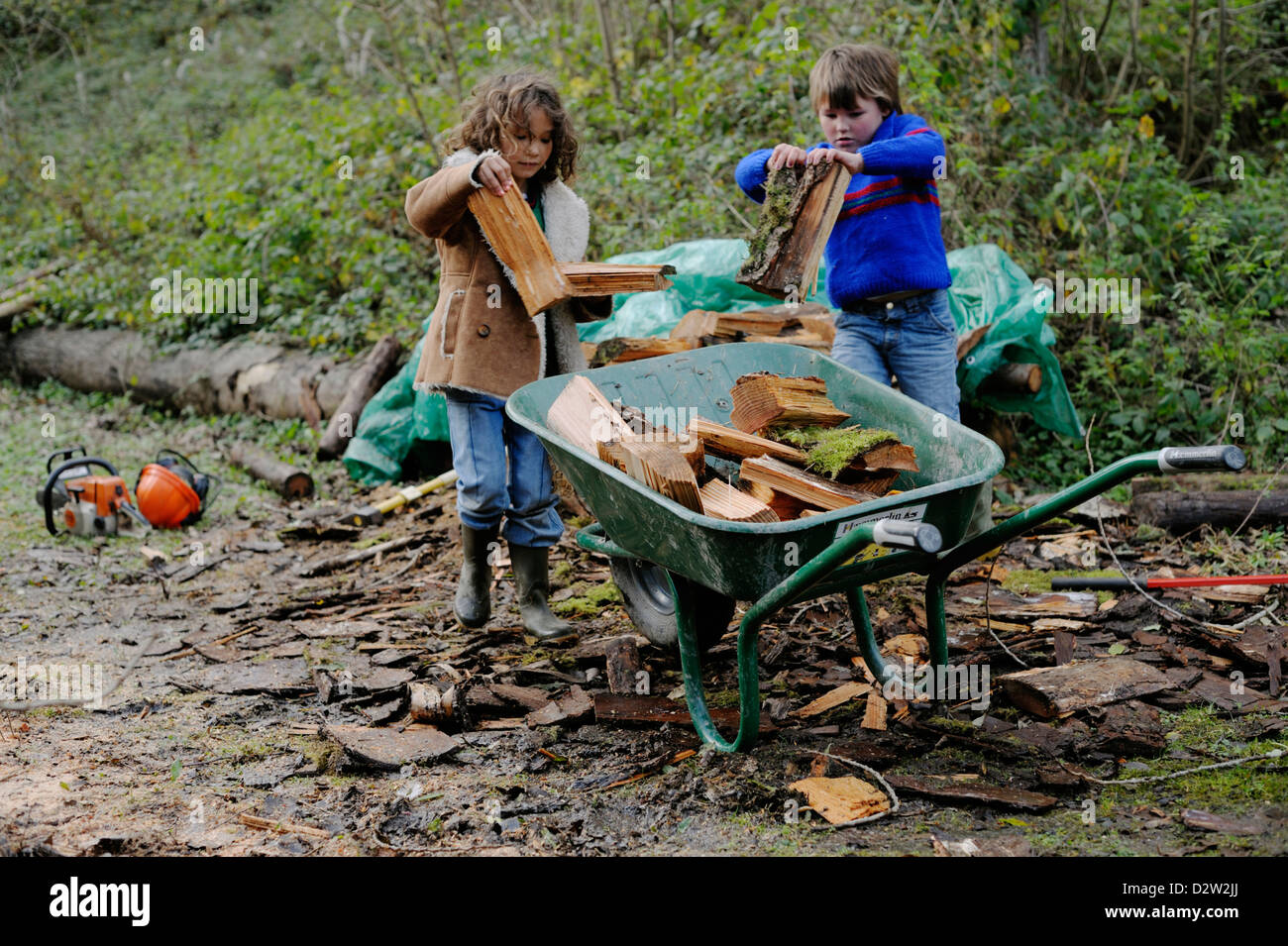 Young children helping load firewood logs into a wheelbarrow, Wales ...