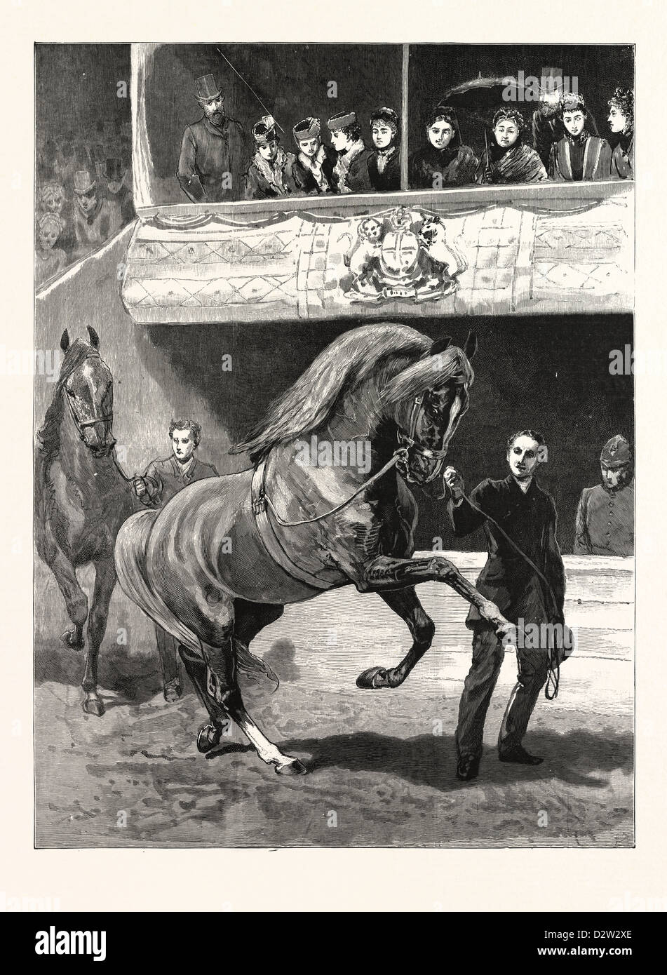 Prize horse hi-res stock photography and images - Alamy