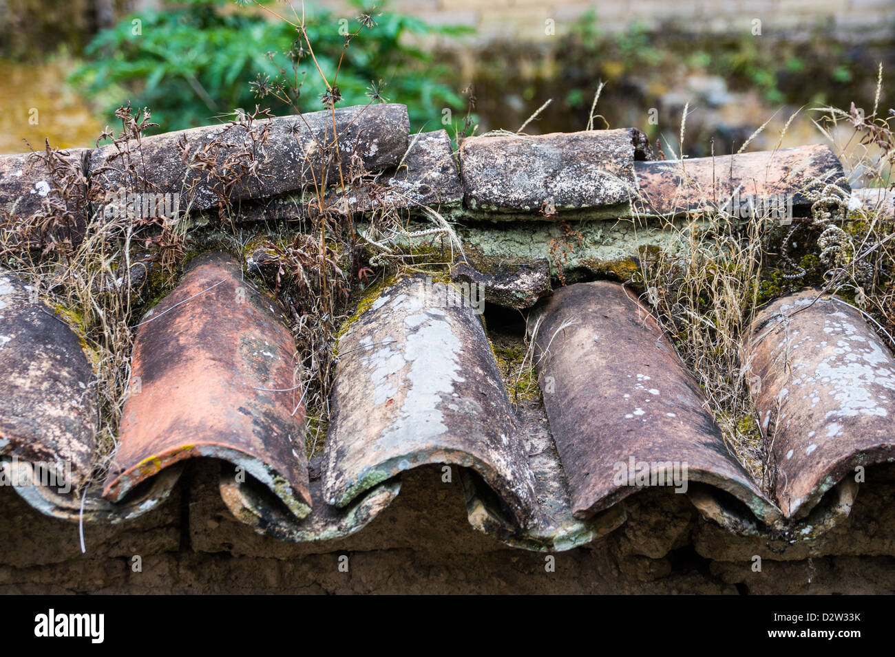 rural Mexico street scene Stock Photo - Alamy