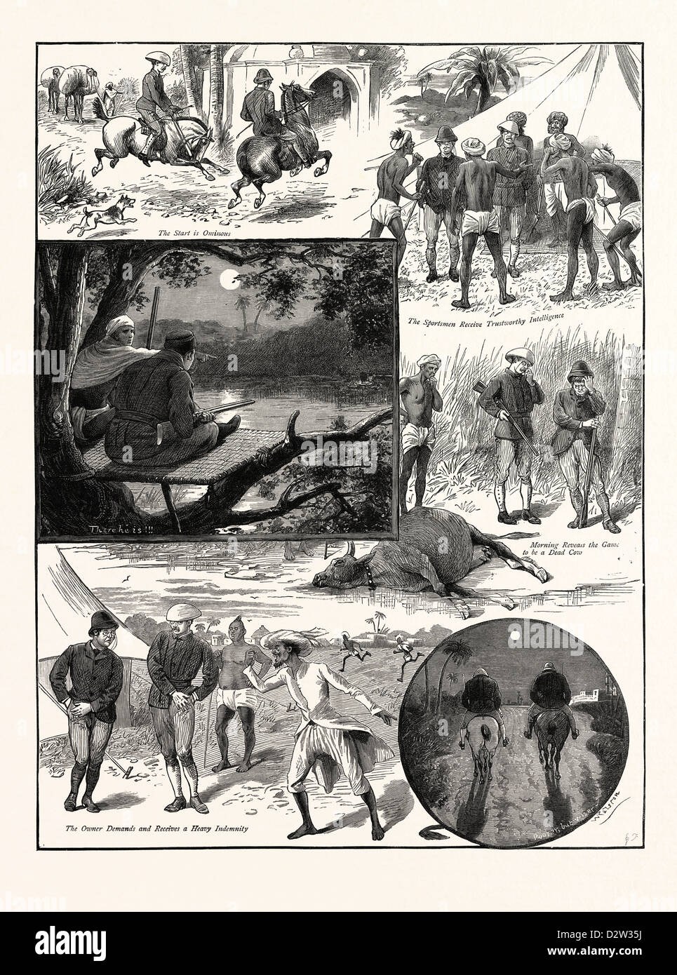 Man eating tiger hi-res stock photography and images - Alamy