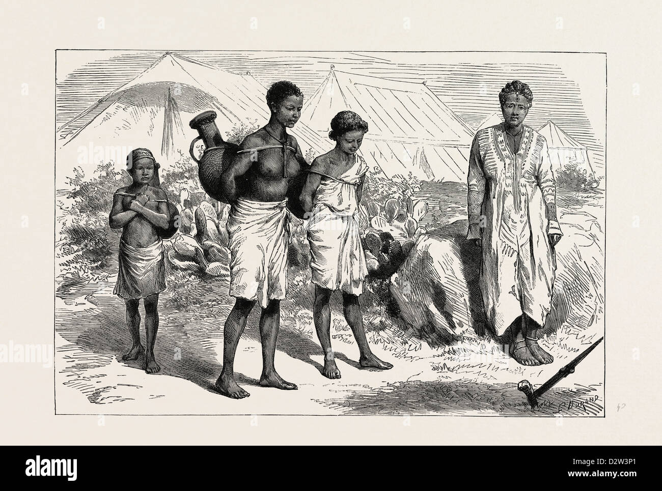 Abyssinian king hi-res stock photography and images - Alamy