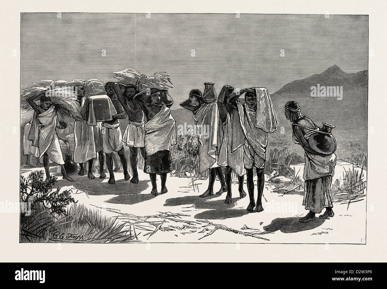 Abyssinian king hi-res stock photography and images - Alamy