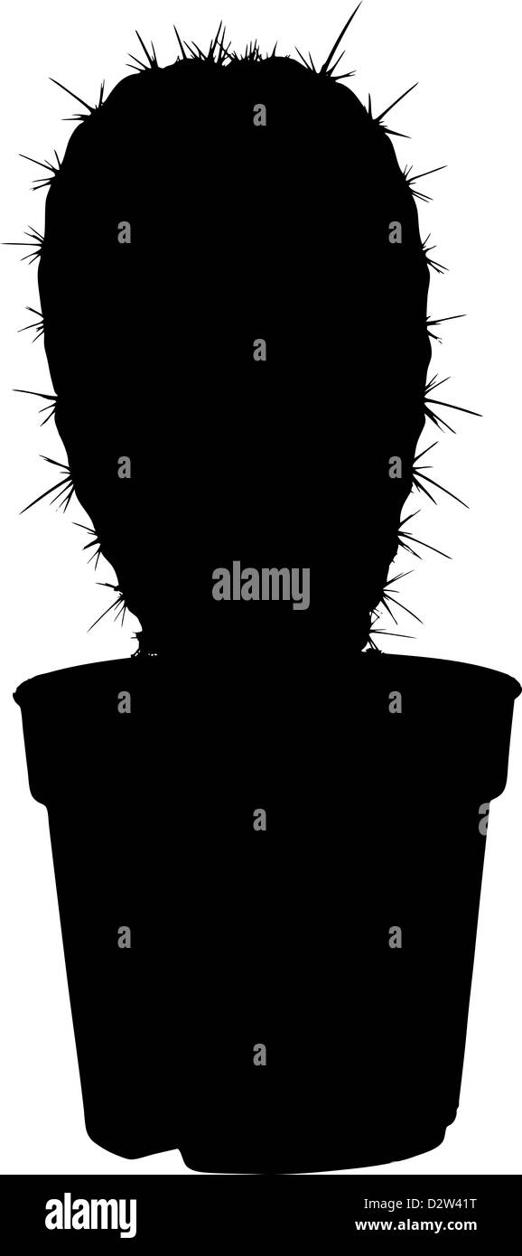 Small cactus flower in Black and White Stock Photos & Images - Alamy