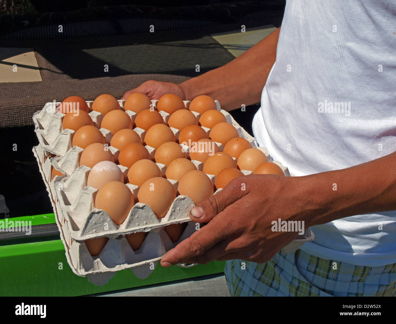 Young man, face invisible, holding cardboard trays with eggs Stock ...