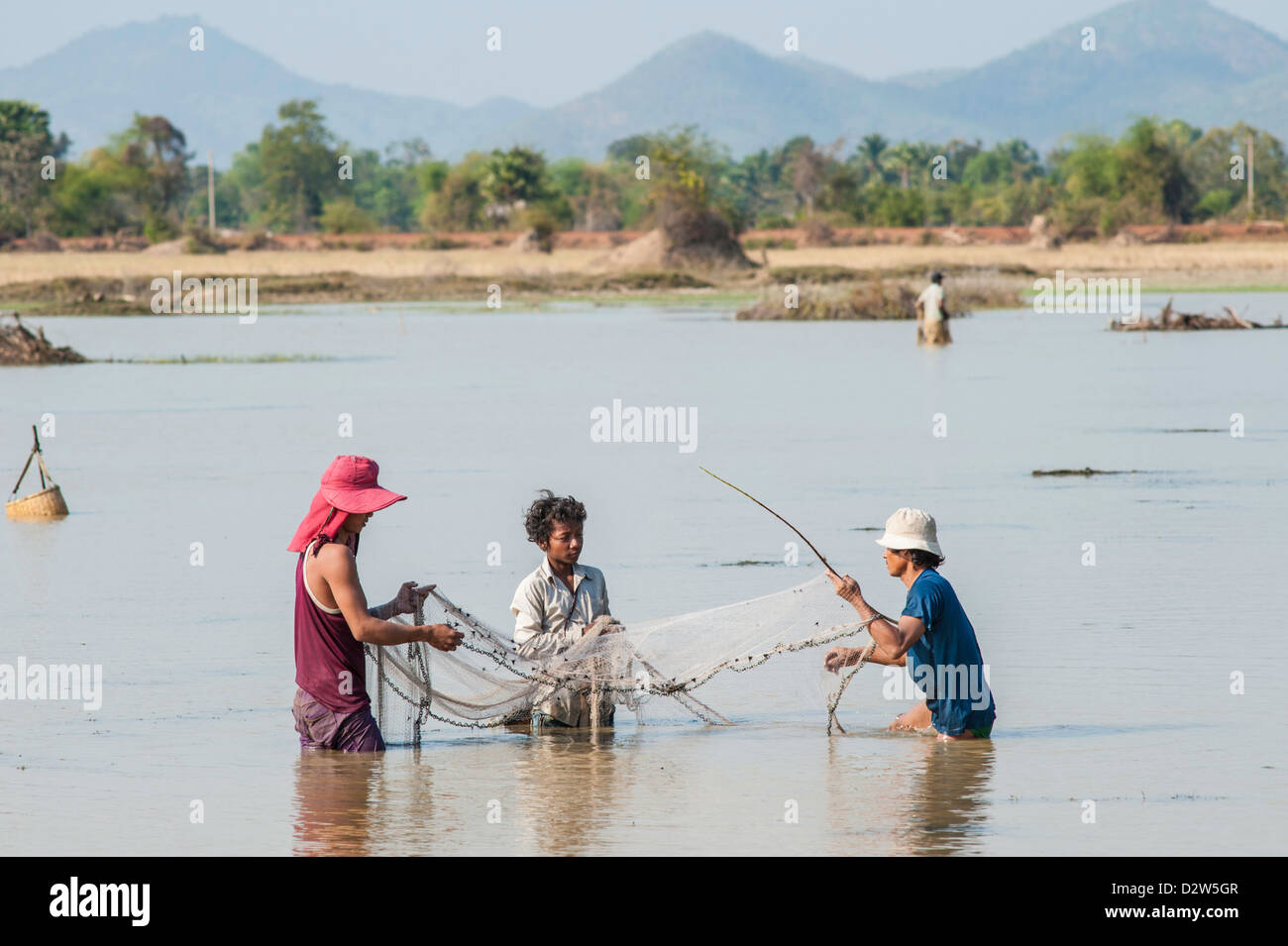 Freshwater fishing with nets in Central Cambodia Stock Photo - Alamy