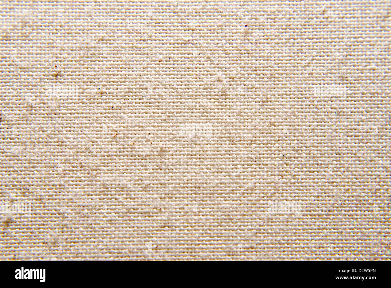 High Resolution Canvas Background