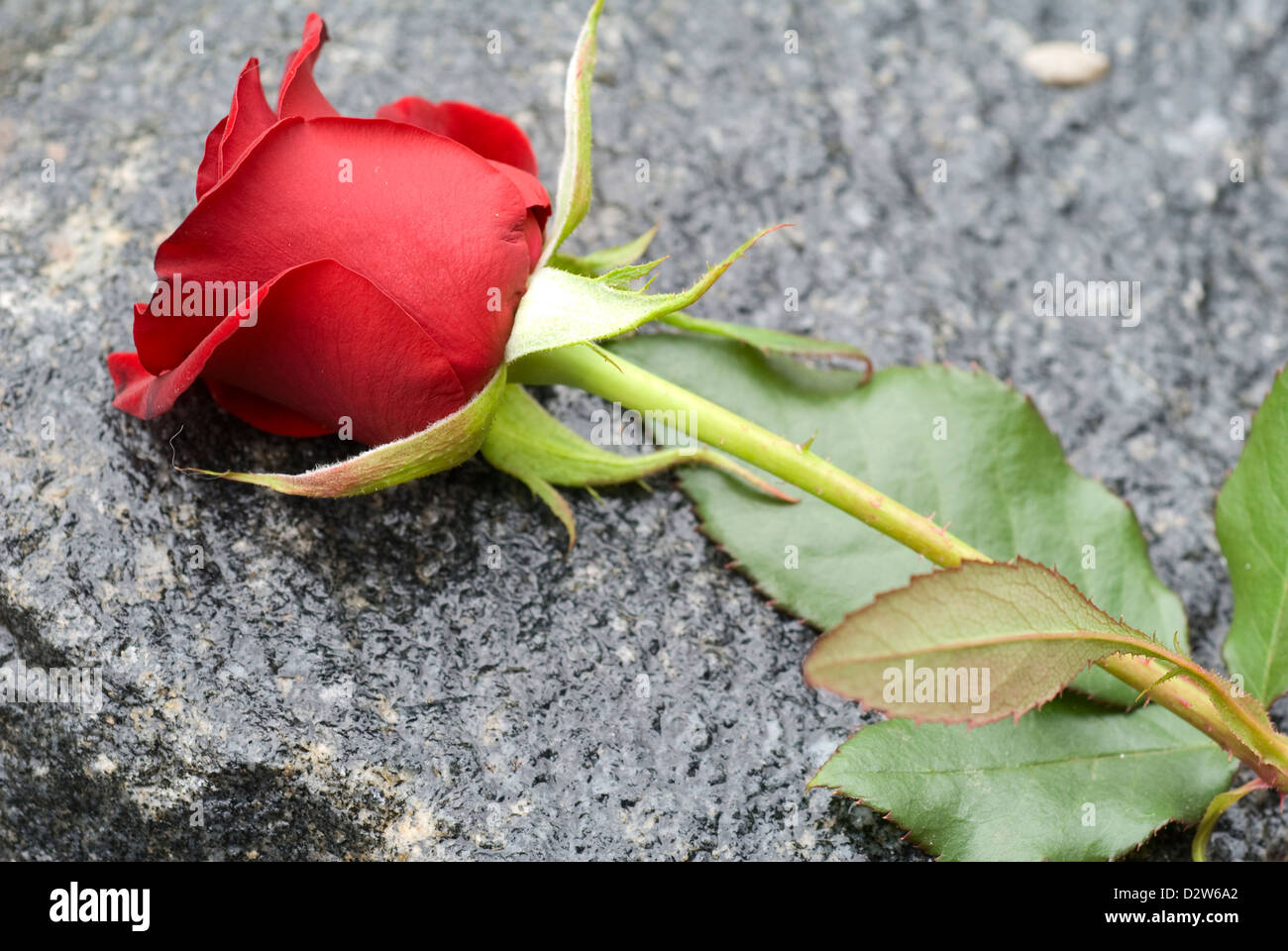 One red stone hi-res stock photography and images - Alamy