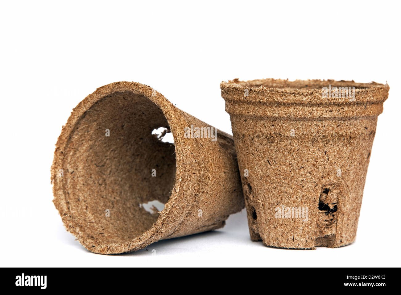 Cuttings plant pot Cut Out Stock Images & Pictures - Alamy