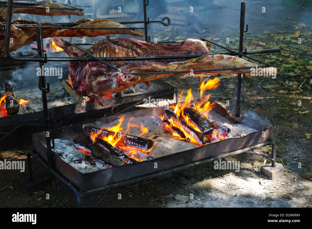 Whole roasted pig. Frying pork over a fire Stock Photo - Alamy
