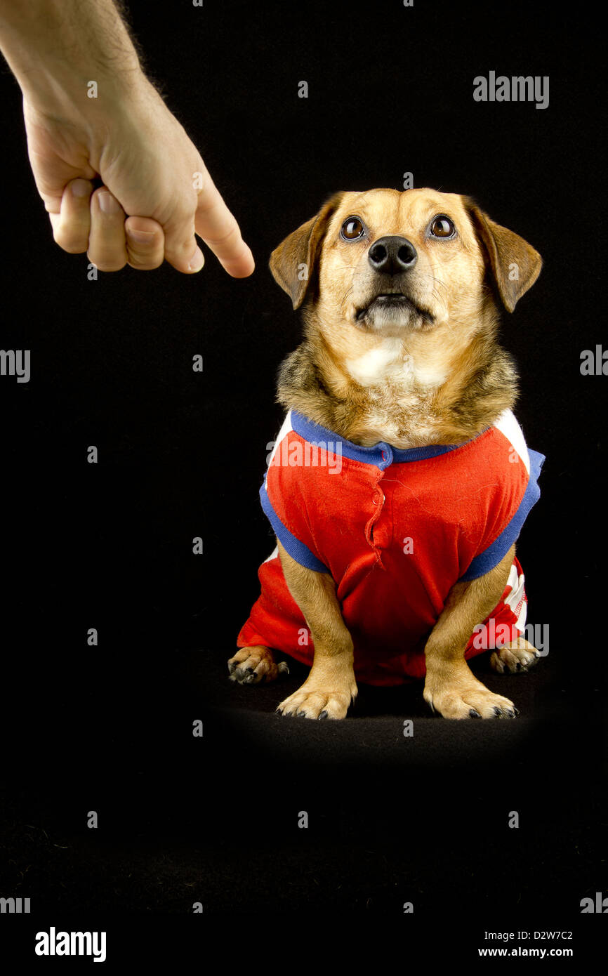 Hand gesture dog hi-res stock photography and images - Alamy