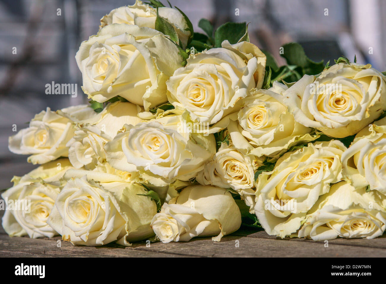 Beautiful white silky flowers hi-res stock photography and images - Alamy
