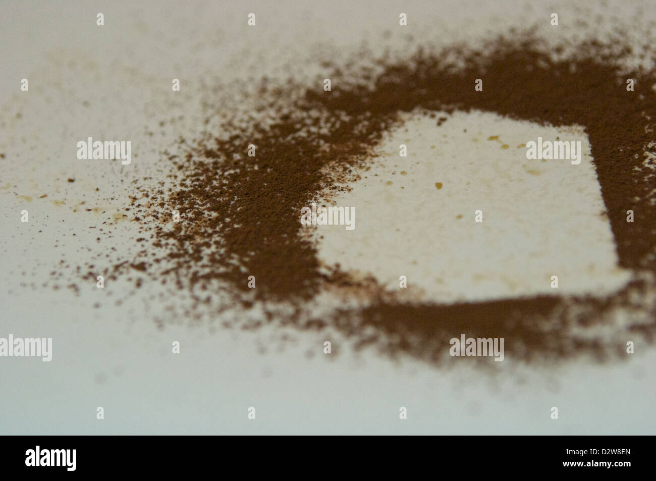 Cocoa powder dusting on a white plate Stock Photo - Alamy