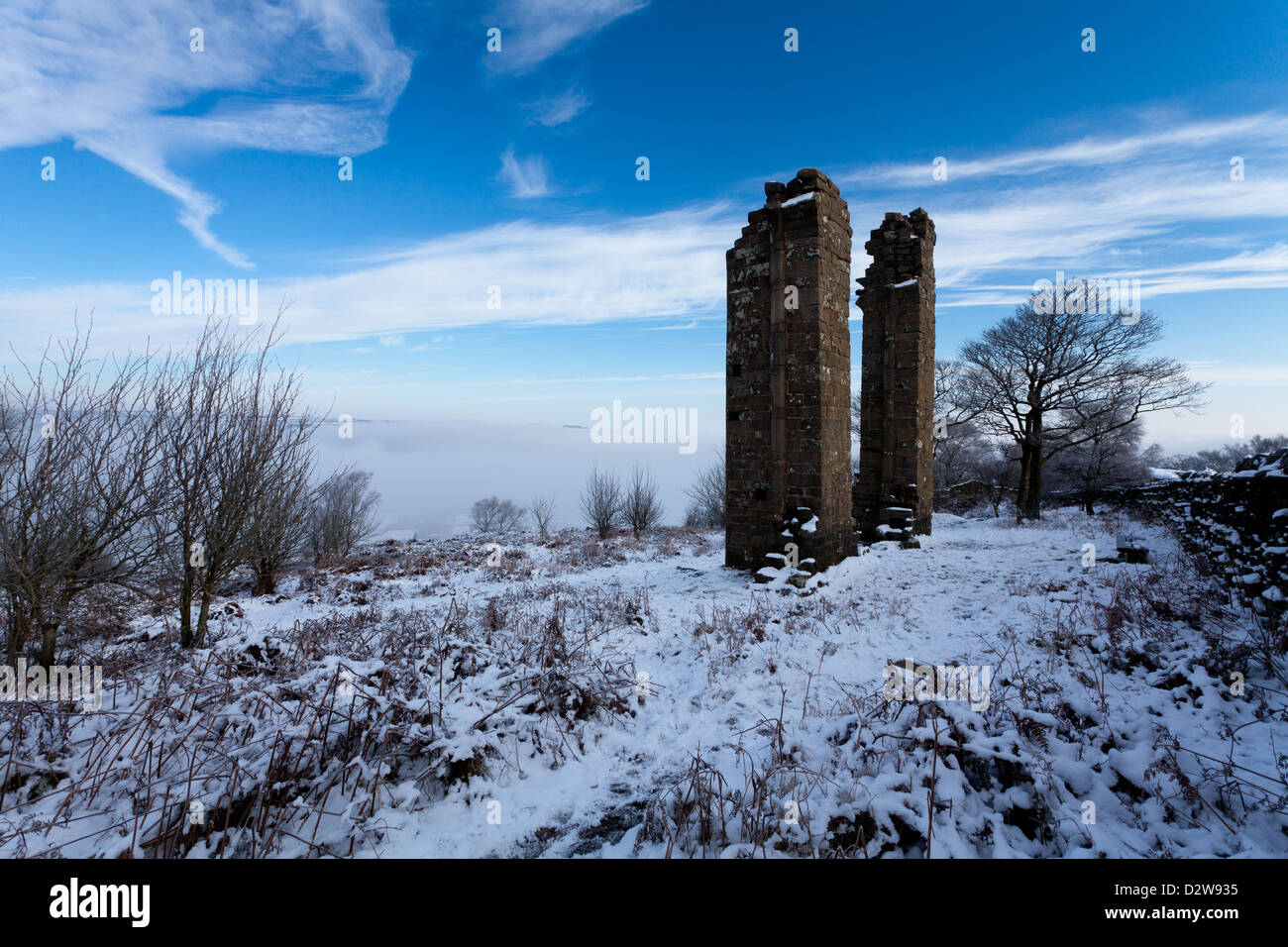Yorkshire Fog Stock Photos & Yorkshire Fog Stock Images - Alamy