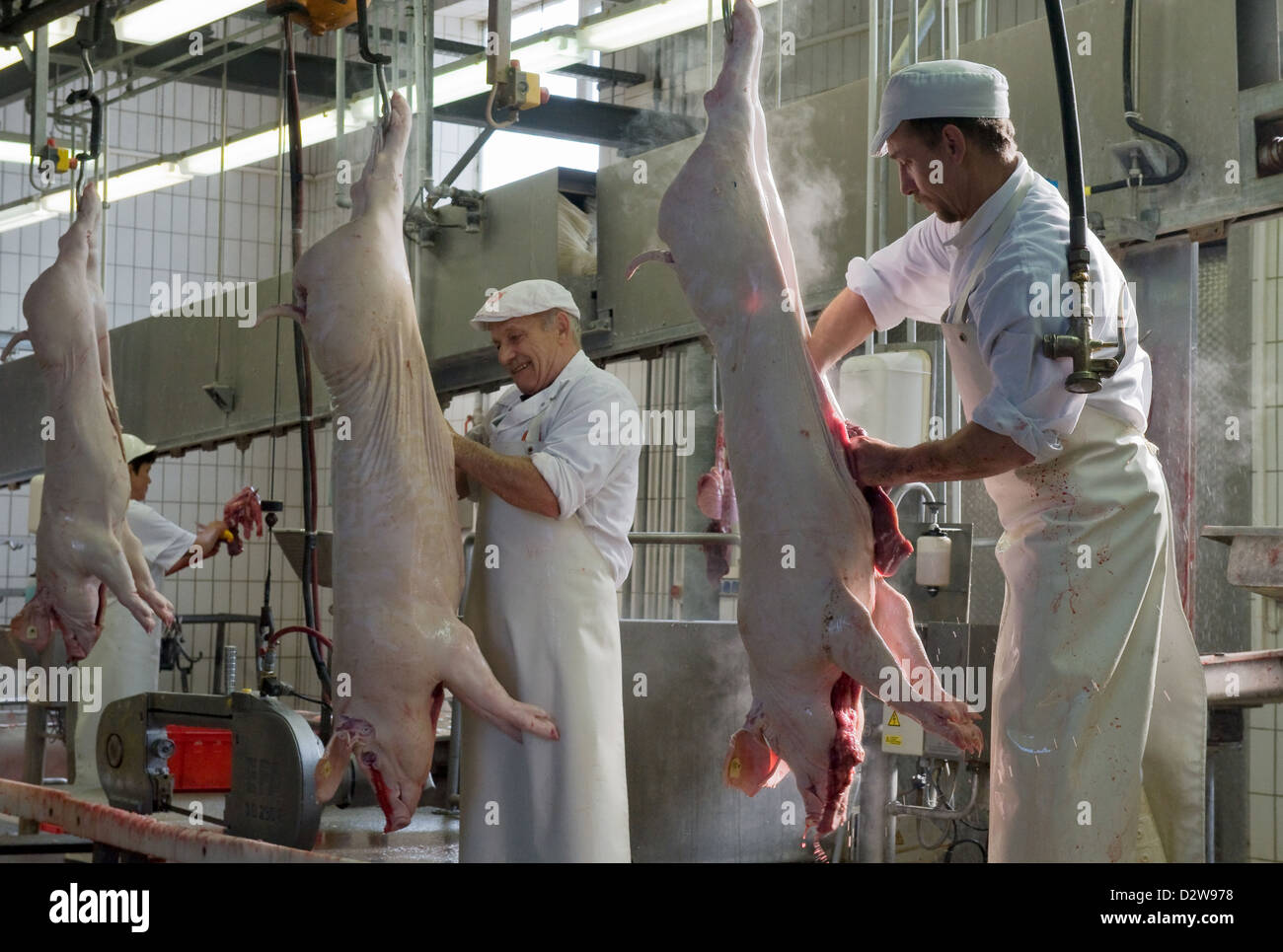 Gutting pig hi-res stock photography and images - Alamy