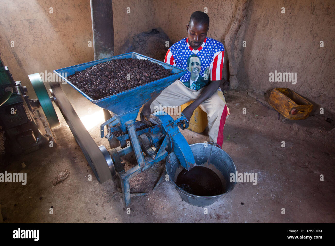 Shea nut hi-res stock photography and images - Alamy