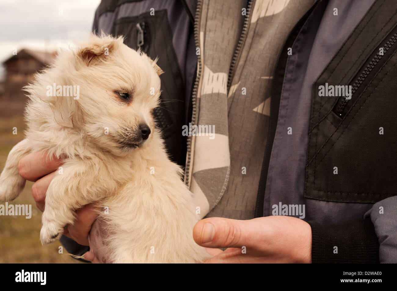 Man holding puppy hi-res stock photography and images - Alamy
