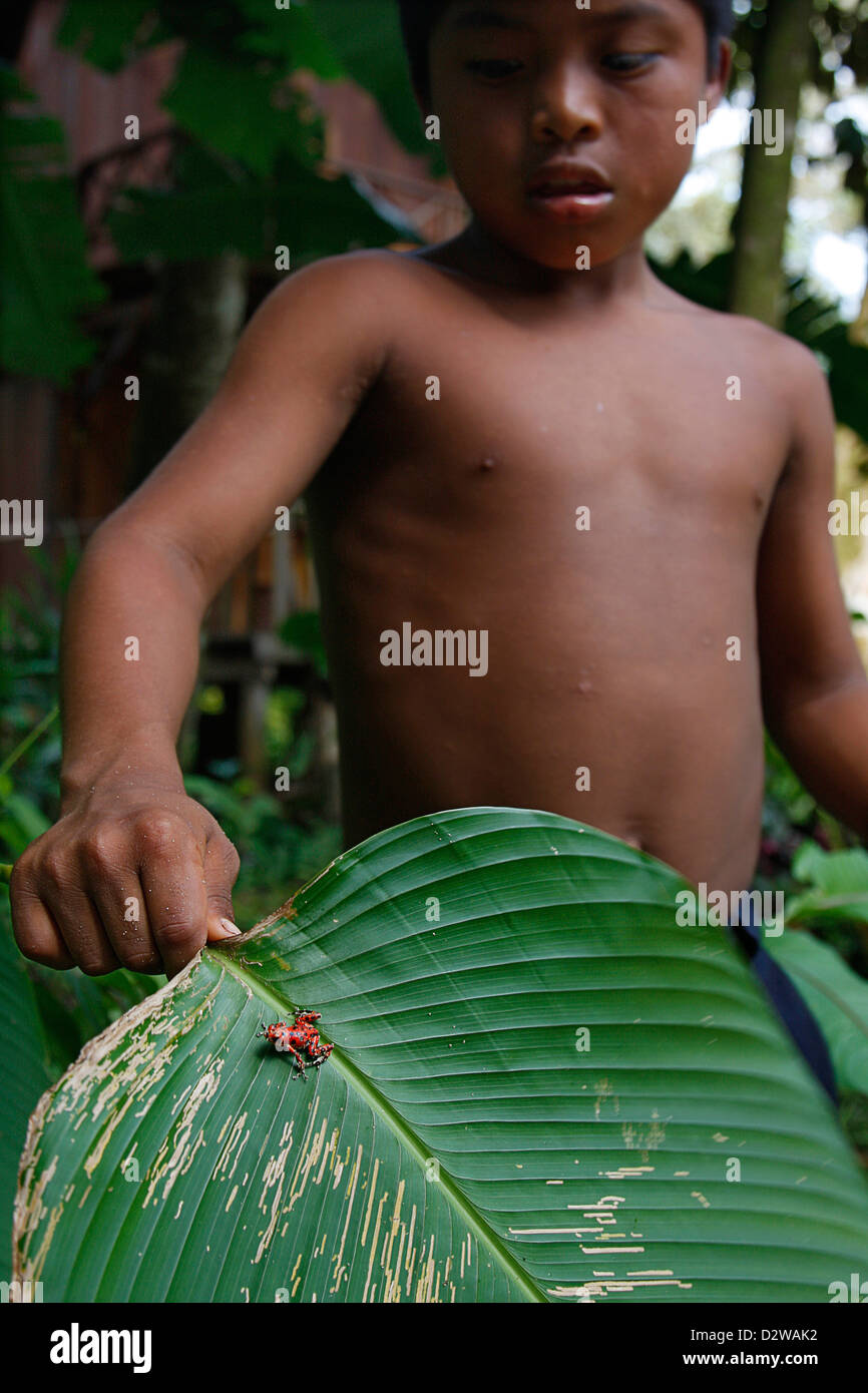Boy with a frog hi-res stock photography and images - Alamy
