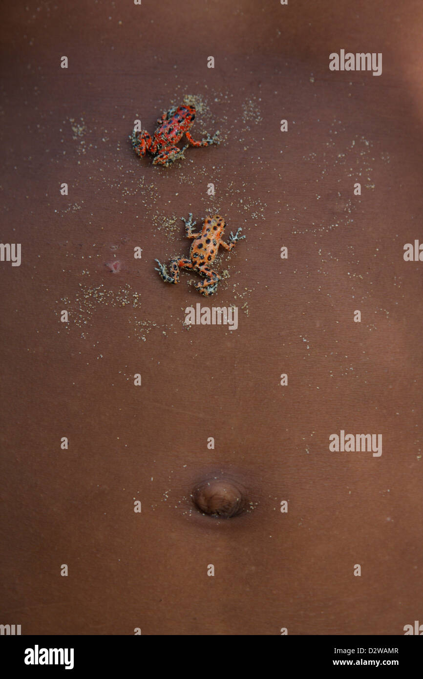 Frogs belly hi-res stock photography and images - Alamy