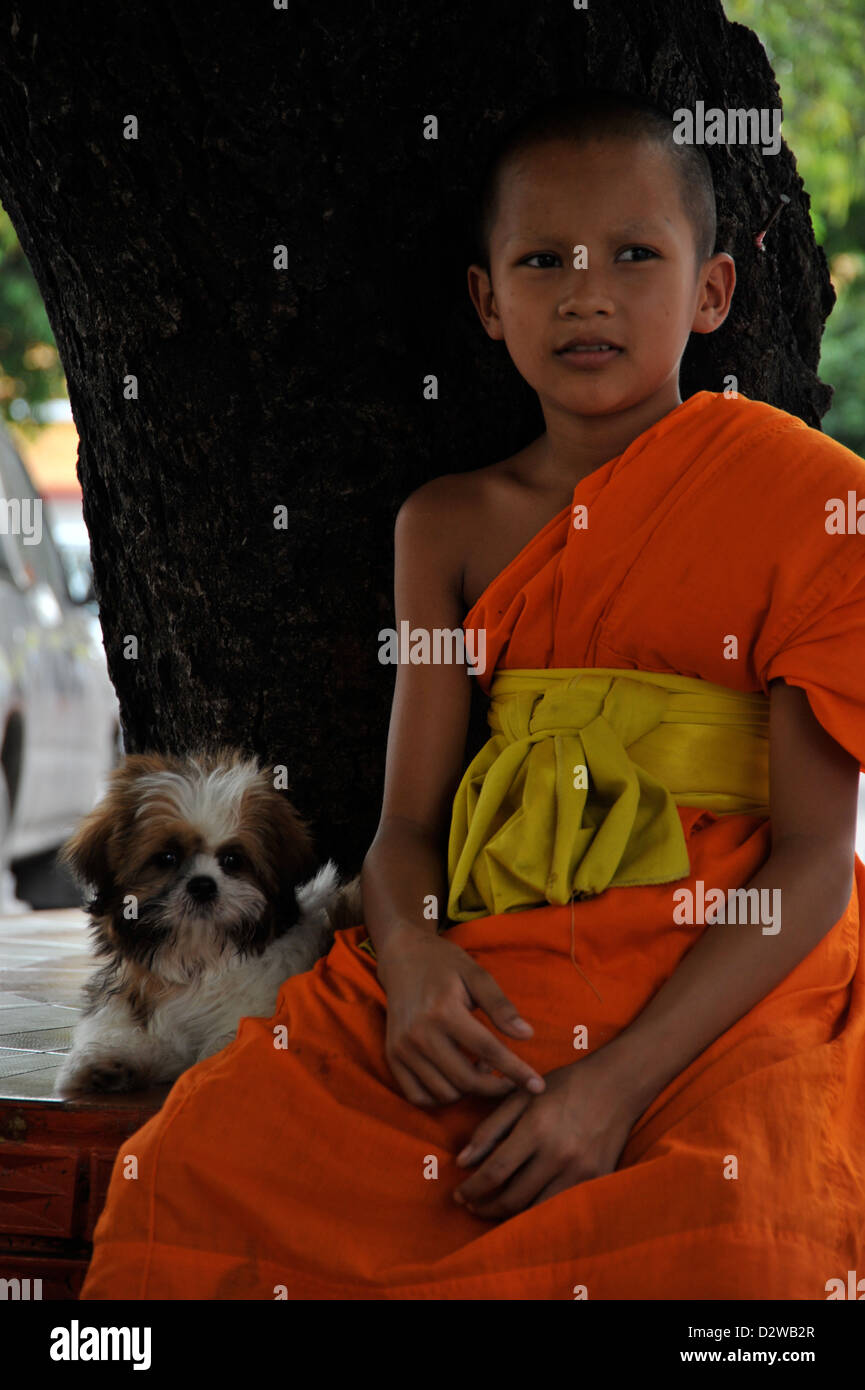 poppy dog and his monk Stock Photo - Alamy