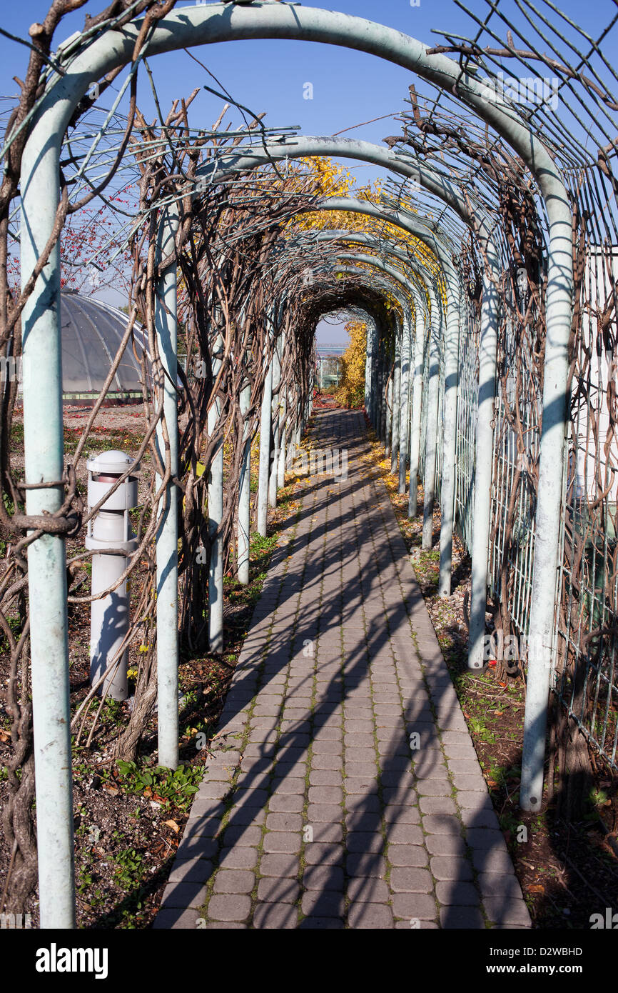 Cobbled path with creepers in public roof garden of Warsaw University ...