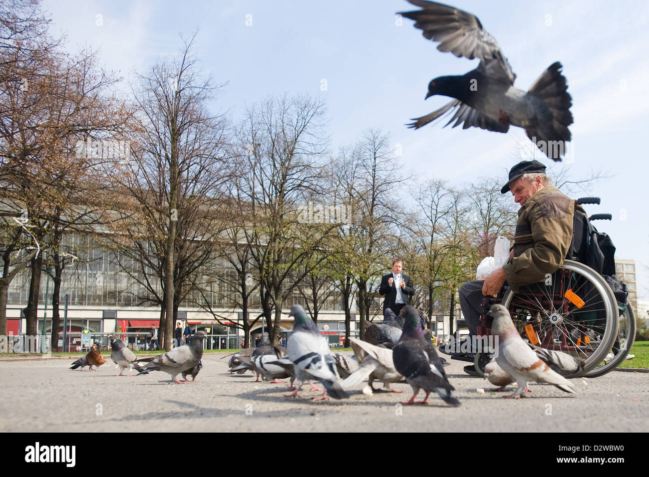 Disabled pigeon hi-res stock photography and images - Alamy